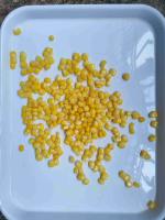 China Canned Sweet Corn Super Sweet 340g Ready to Eat Easy Open Lid OEM for sale