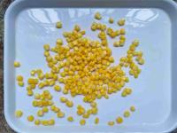 China Canned Sweet Corn The Trusted Canned Corn Kernels for Your Customer Requirements for sale