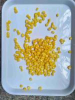 China Natural Color Whole Kernel Sweet Corn in Can with Easy Open Lid 400g for sale