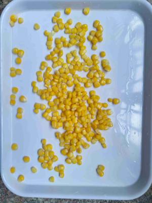 China Premium Canned Sweet Corn 400g Non-GMO Ready to Eat Convenient Pantry Staple for sale
