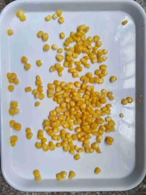 China Ready To Eat Canned Sweet Corn Kernel Whole Kernel 400g Commercial Sterility Easy Open Lid for sale