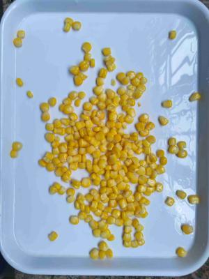 China Canned Sweet Corn Whole Kernel 400g Ready to Eat Private Label Acceptable for sale
