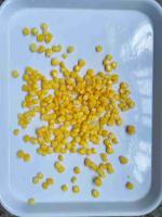 China Canned Sweet Corn Super Sweet Variety 400g Metal Tin Ready to Use OEM for sale