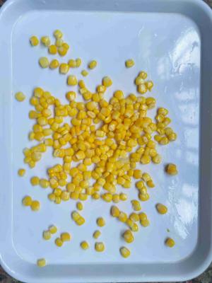 China Canned Sweet Corn Super Sweet Variety 400g Metal Tin Ready to Use OEM for sale