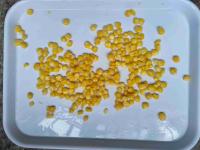 China Canned Yellow Corn for Your Business Growth for sale