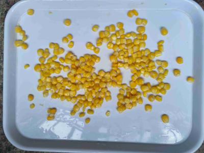 China Canned Yellow Corn for Your Business Growth for sale