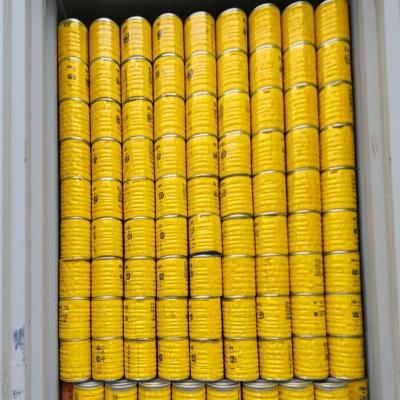 China Canned Sweet Corn 1080 Cartons per 20GP BRC HACCP Halal Certified Yellow Corn for sale