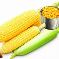China Custom Logo Canned Sweet Corn with Fresh Sweet Corn Raw Material for sale