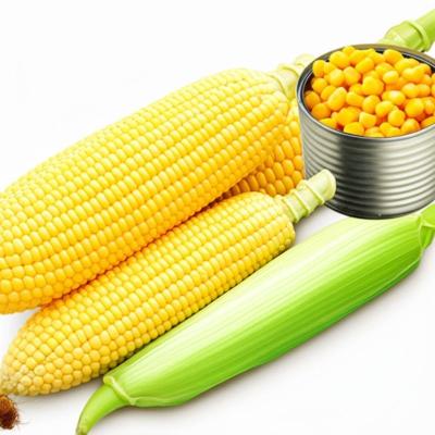 China Custom Logo Canned Sweet Corn with Fresh Sweet Corn Raw Material for sale