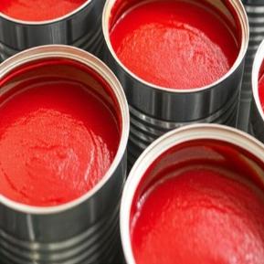China Canned Tomato Paste Grade AB 2 Years Shelf Life Pure Natural No Additives for Cooking for sale
