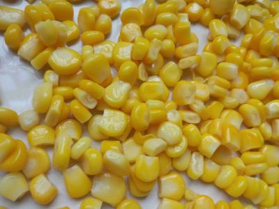 China Non-GMO Canned Sweet Corn in Tin A10 - 3 Year Shelf Life, 121℃ Sterilization, Multiple Size Options for sale