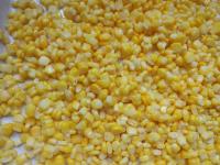 China Wholesale Canned Sweet Corn 2840g in Water Bulk 6 Tins per Carton for Export for sale