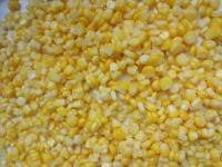 China Canned Sweet Corn Whole Kernel 400g BRC HACCP Halal Certified for sale