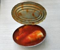 China 425g Oval Tin Canned Sardines in Tomato Sauce Ready to Eat 24 Cans per Carton for sale