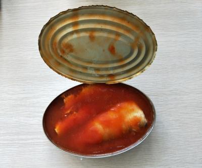 China 425g Oval Tin Canned Sardines in Tomato Sauce Ready to Eat 24 Cans per Carton for sale