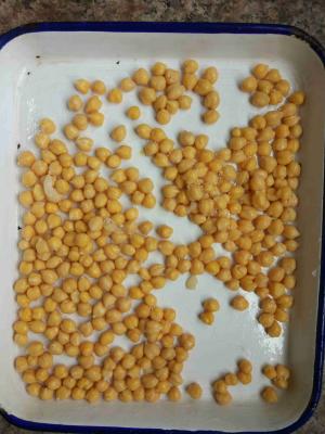 China Premium Canned Chickpeas 400g Bulk Packaging - 24 Tins per Carton, 1850 CTNs per 20' FCL for sale
