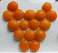 China Canned Apricot Halves 425g Cholesterol Free 17g Sugars Preserved Fruit for sale