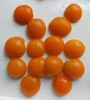 China 2650ml Canned Apricot Halves in Light Syrup Golden Sun Bulk Pack for sale