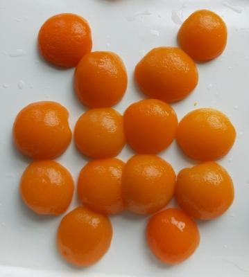 China 2650ml Canned Apricot Halves in Light Syrup Golden Sun Bulk Pack for sale