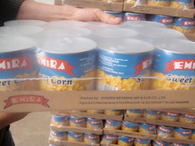China Chinese Non GMO Canned Sweet Corn Kernel 185g Shrink Wrap Package for sale