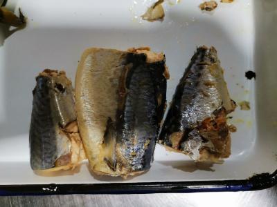 China Mackerel Canned Fish 200g in Oil or Brine MSC BRC Certified Ready to Eat for sale