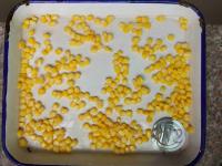 China 241g Canned Yellow Sweet Corn Kernels 36 Months Shelf Life Bulk Export for sale