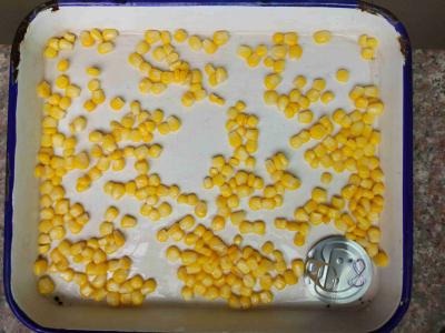 China 241g Canned Yellow Sweet Corn Kernels 36 Months Shelf Life Bulk Export for sale