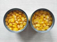 China Wholesale Canned Sweet Corn 340g 425g A9 A10 in Water Bulk Supply for sale