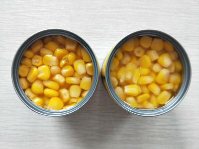 China Wholesale Canned Sweet Corn 340g 425g A9 A10 in Water Bulk Supply for sale