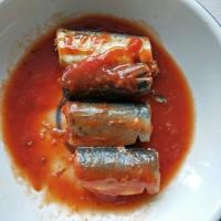 China 425g Canned Pacific Mackerel in Tomato Sauce - 3-5 Pieces per Tin, 24 Tins per Carton for sale