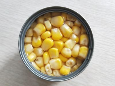 China 185g Canned Sweet Corn Kernels Yellow Corn in Carton Tray 24 Tins per Case for sale