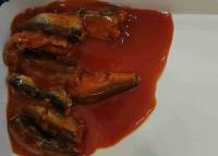 China Canned Sardine Fish in Tomato Sauce 425g 155g Tins Bulk Export for sale