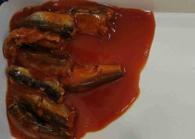 China Canned Sardine Fish in Tomato Sauce 425g 155g Tins Bulk Export for sale
