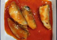 China 425g Canned Sardines in Tomato Sauce with Chili Paper Label Easy Open Lid 24 Tins per Carton for sale