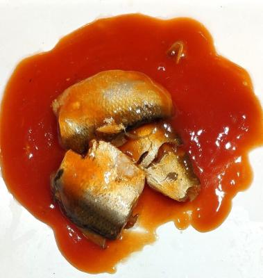 China 155g Canned Sardines in Tomato Sauce Easy Open Lid Protein Rich Seafood for sale