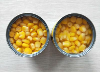 China Canned Sweet Corn Whole Kernel 400g Easy Open Lid Ready to Eat BRC HACCP Halal for sale