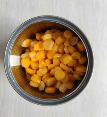 China Canned Sweet Kernel Corn in Water - 340g, 425g, 2125g Sizes with 5-12% Brix Sweetness Levels for sale