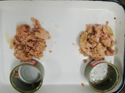 China 80g Canned Light Tuna in Paper Label Tin - 36 Month Shelf Life, Multiple Size Options Available for sale