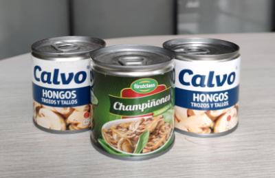 China Canned Whole Champignon Mushroom in Brine 400g 24 Tins Bulk Export for sale