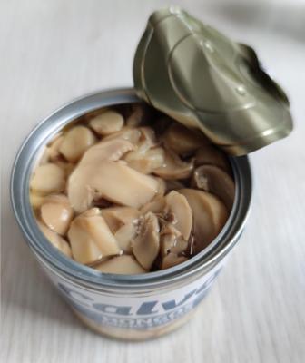 China Grade A Canned Champignon Mushroom Salty Flavor 580ml 720ml Whole Slices Pieces for sale
