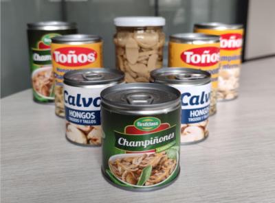 China 425g Canned Sliced Mushrooms No Impurity Typical Taste Brine Preserved B2B Wholesale for sale