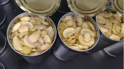 China Canned Champignon Mushrooms Medium Size Salinity 0.6-1.3% Easy Open Lid for Food Processing for sale