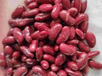 China BRC 400g Canned Red Kidney Beans in Water Salty 24 Tins per Carton for sale