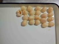 China 15 Oz Canned Lychee in Syrup Non GMO Whole Fruit Brix 14-16% Tin Coated for sale