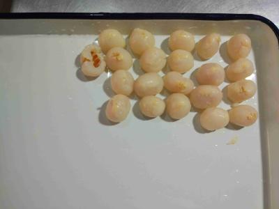 China 15 Oz Canned Lychee in Syrup Non GMO Whole Fruit Brix 14-16% Tin Coated for sale