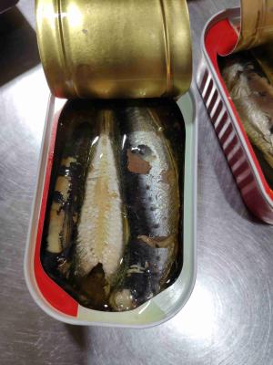 China Canned Sardine Fish Easy Open 125g Rich Omega-3 Preserved Sardines BRC HACCP for sale