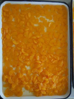 China Canned Mandarin Orange in Light Syrup 425g 24 Tins No Additives Juiciest for sale