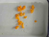 China Canned Mandarin Orange Segments in Syrup 14-17% Brix 24x425g China Export for sale