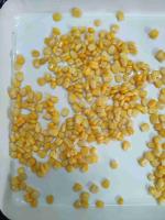 China 2840g A10 Canned Sweet Corn Kernels 3 Years Shelf Life 1800g Drained Weight for sale