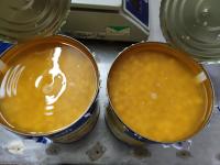China Yellow Whole Kernel Canned Sweet Corn 400g Vacuum Sealed Tins BRC HACCP Certified for sale